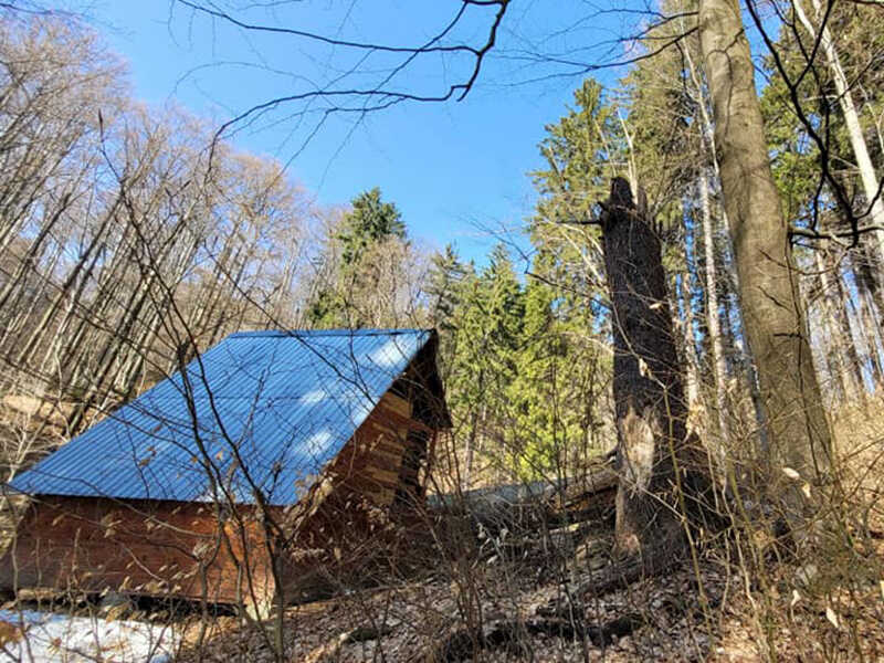 Un refugiu de pe Valea Usturoiului, refăcut - Graiul Maramureșului